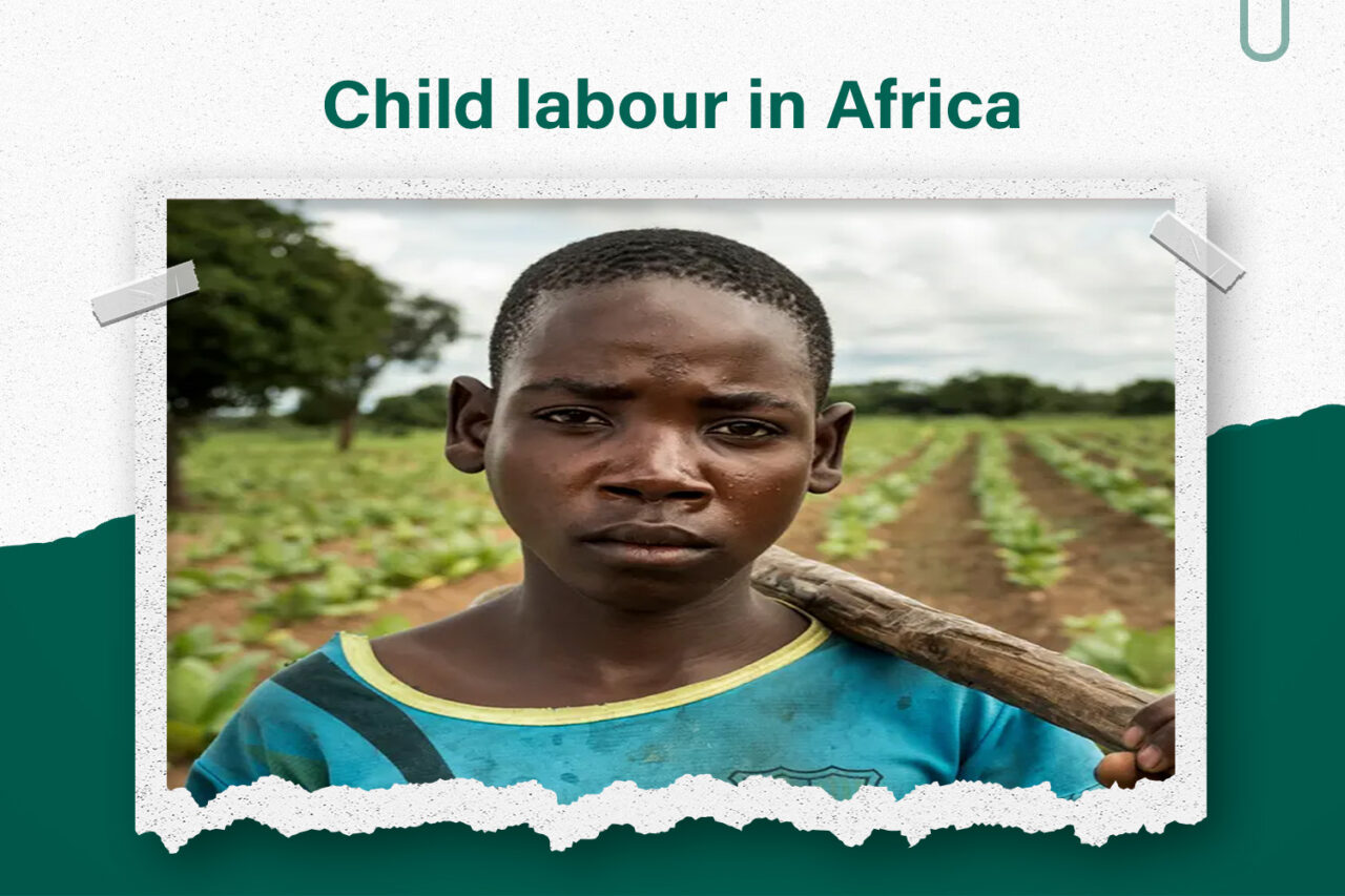 Child labour in Africa - Afrika Hayat