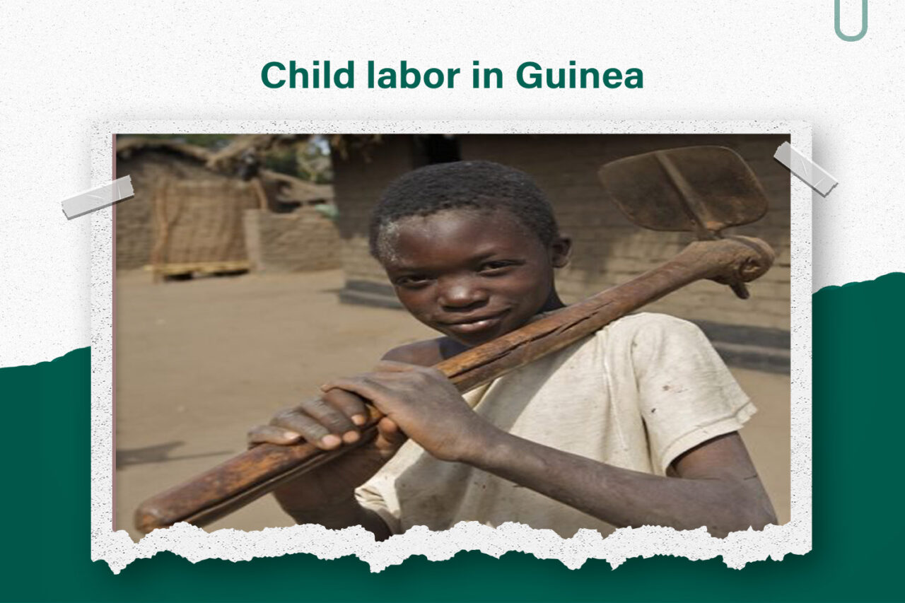 Child labour in Guinea - Afrika Hayat