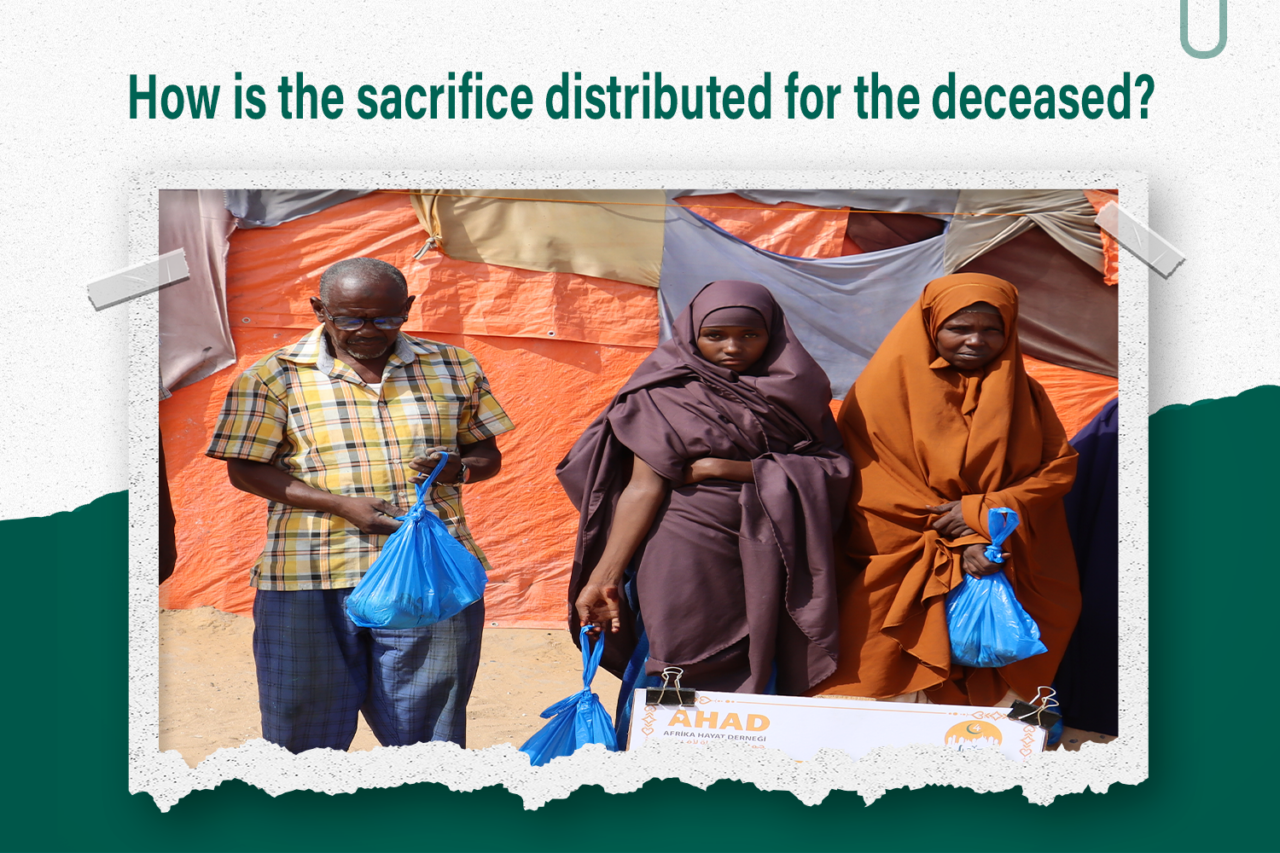 How to distribute the sacrifice for the deceased - Afrika Hayat